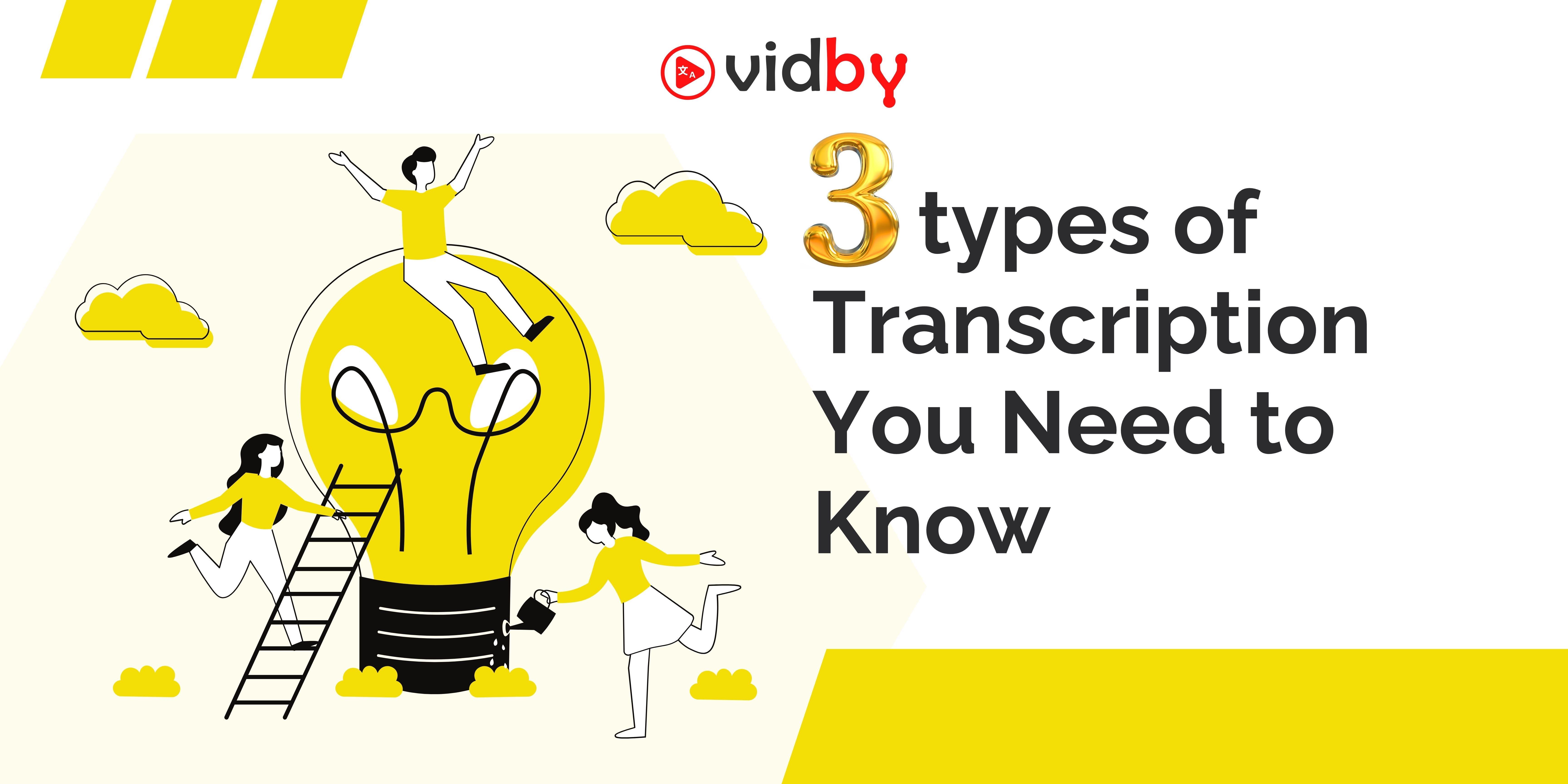 3 Transcription Examples You Must Witness | vidby